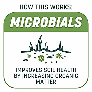 Pennington Smart Patch Tall Fescue Mix Jug 5 lb