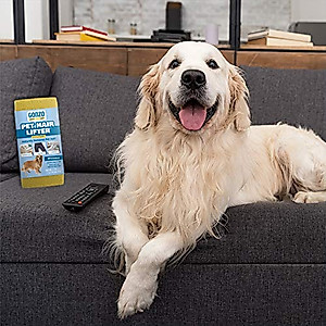 Gonzo Pet Hair Lifter - Remove Dog, Cat and Other Pet Hair from Furniture, Carpet, Bedding and Clothing - 1 Sponge