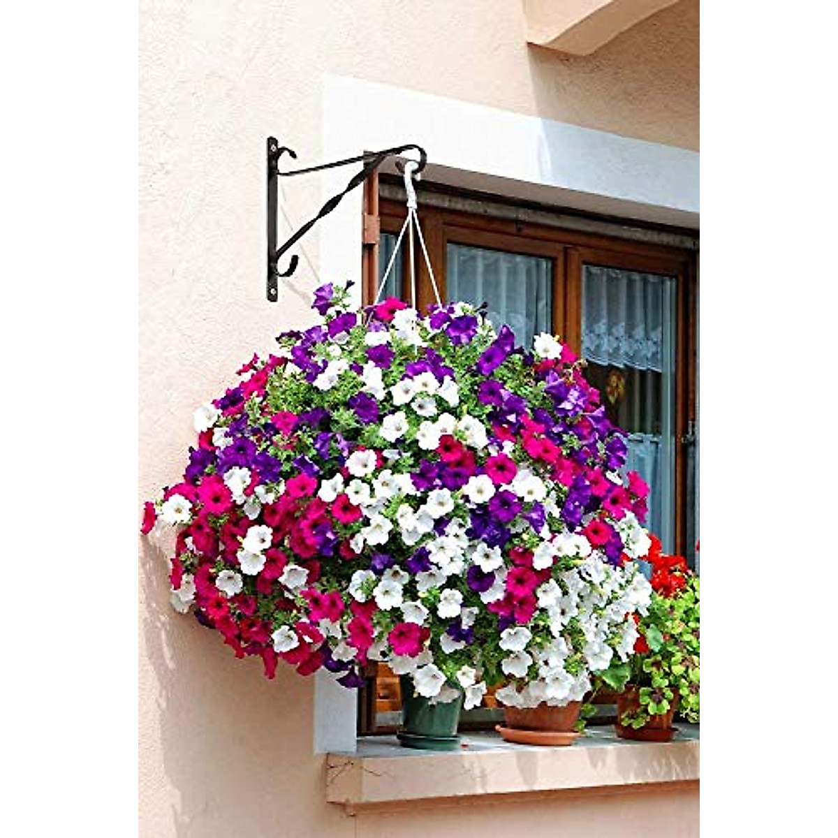 Amagabeli Hanging Plants Bracket 10'' Wall Planter Hooks Hangers Flower Pot Bird Feeder Wind Chime Lanterns Patio Lawn Garden for Shelf Shelves Fence Screw Mount against Door Arm Hardware