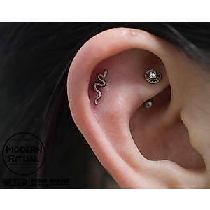 16G G23 TITANIUM INTERNALLY THREADED 3D SNAKE EAR LABRET TRAGUS HELIX CONCH STUD Style 88888-910