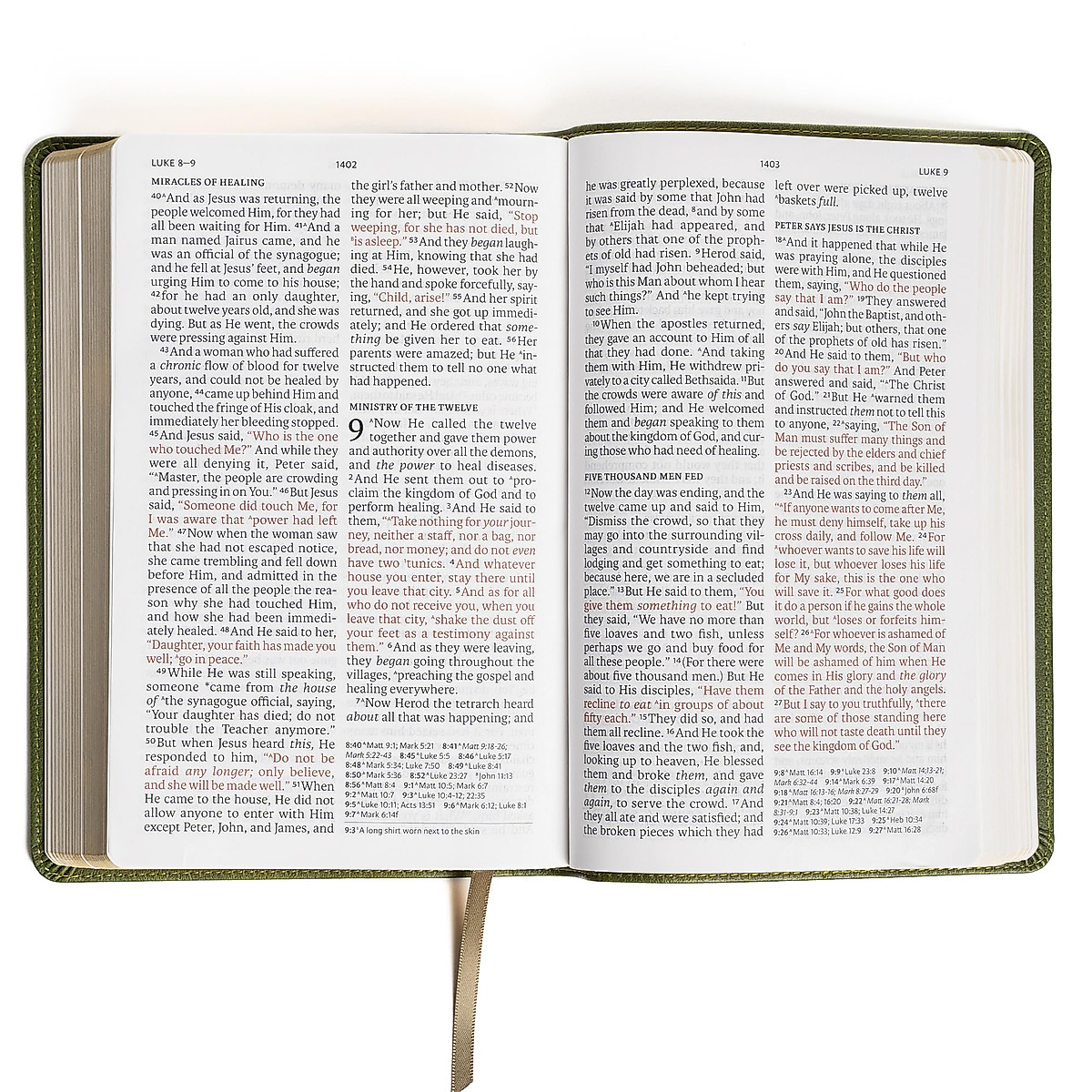 NASB Large Print Personal Size Reference Bible, Olive LeatherTouch, Red Letter, Presentation Page, Cross-References, Full-Color Maps, Easy-to-Read Bible Karmina Type