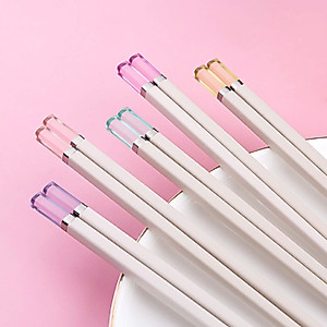 Reusable Chopsticks Japanese Fiberglass Chopsticks Lightweight Dishwasher Safe Multicolor 5 Pairs Gift Set