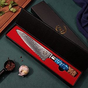Chef Knife 8 inch, Fukep Damascus Chef Knife VG10 Core Steel with 66-Layers High Carbon Professional Sharp Chefs Knife 8" Blade Ergonomic Beautiful Blue Resin Handle Gift Boxed