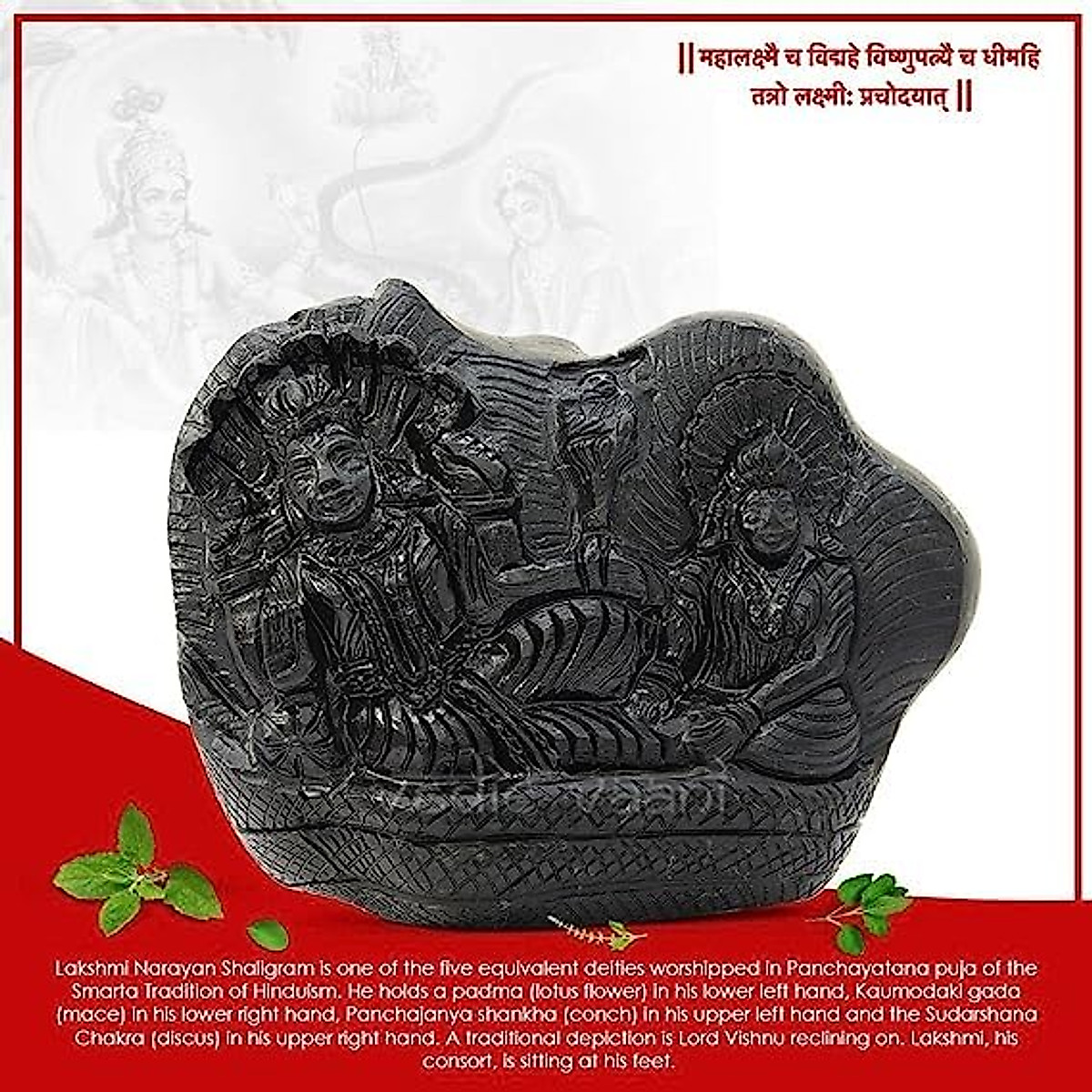 Vedic Vaani The Rarest Sculpture Laksmi Narayana Sacred Blessings Shaligram (Pack of 3)
