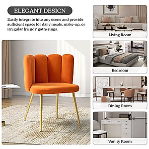 HULALA HOME Velvet Accent Chairs Modern Vanity Chairs for Makeup Room, Comfy Upholstered Dining Chairs for Living Room with Shell Back and Golden Metal Legs/Orange