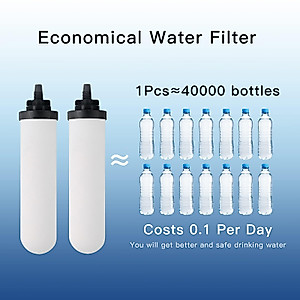 FACHIOO 7" Ceramic Filter, Replacement Filters for ProOne® G2.0 Filters, ProOne® Big+ or Big II Countertop Gravity Water Filter System and FACHIOO King Tank Series(Pack of 2)