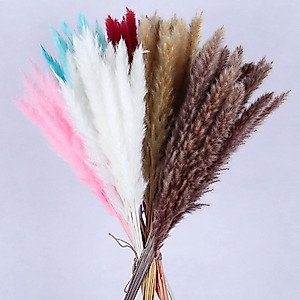 Mosichi Artificial Flower,15Pcs/Bundle Small Pampas Grass Ornamental Desktop Decor Dried Flower Birthday Party Artificial Reed Bouquet for Garden Garden - Blue
