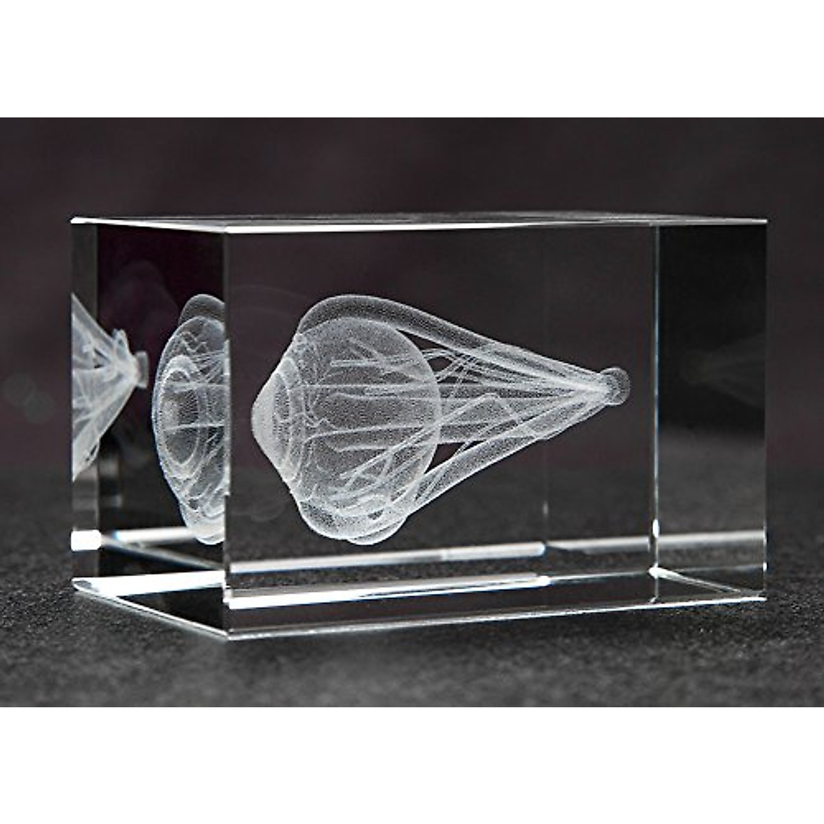 Eye 3D Laser 1lb Crystal, Anatomy, Ophthalmology