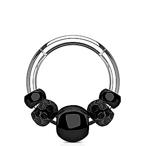 Forbidden Body Jewelry 16 g 8 mm Surgical Steel Hinged Segment Septum Nose Ring Hoop Piercing/Cartilage Earring for Women or Men, Style 1 - Black…