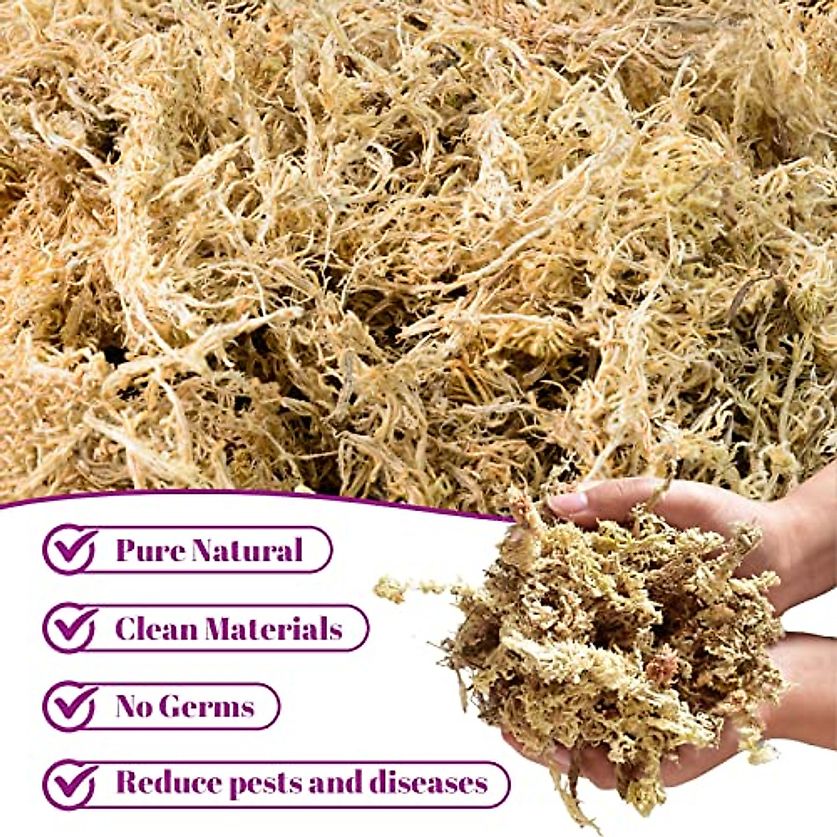 Legigo 5.3oz Premium Sphagnum Moss Potting Mix- Natural Succulent Carnivorous Plants Moss Dried, Plant Growing Medium for Orchid Succulent Sarracenia Orchid Gardening Plants Reptiles, 3 QT