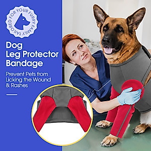 ASENKU Professional Recovery Suit for Dogs, Soft Breathable Front Legs Recovery Sleeve to Stop Licking, Female & Male Dog Leg & Elbow Protector for Wounds, Adjustable Dog Cone E-Collar Alternative