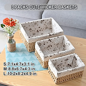 3 Pcs Handmade Wicker Storage Baskets Set Shelf Baskets,Woven Decorative Home Storage Bins for Bedroom,livingroom,kitchenroom,Table,Closet,Pantry, Entryway, Home Decor Beige