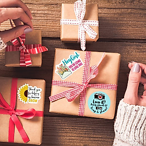 Hey Girl You’re Going to Love This Stickers,Thank You Stickers,Handmade Stickers,Small Shop Stickers,Envelopes Stickers for Small Business, Online Retailers,Handmade Goods,500 Labels Per Roll