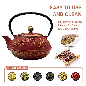 SECHUDO Cast Iron Teapot Tea Kettle with Stainless Steel Infuser for Stovetop Safe Coated with Enameled Interior Japanese Red Tetsubin with Maple Leaves Pattern(30.4oz/900ml)