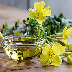 Outsidepride Oenothera Evening Primrose Yellow Wild Flowers - 5000 Seeds