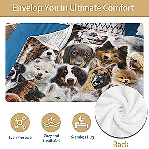 Large Fleece Throw Blanket for Couch Sofa, Fuzzy Soft Cozy Blankets and Throws Warm Lightweight Plush Lap Blanket for Women Men, 50 x 60 inches, Cute Dogs Pattern