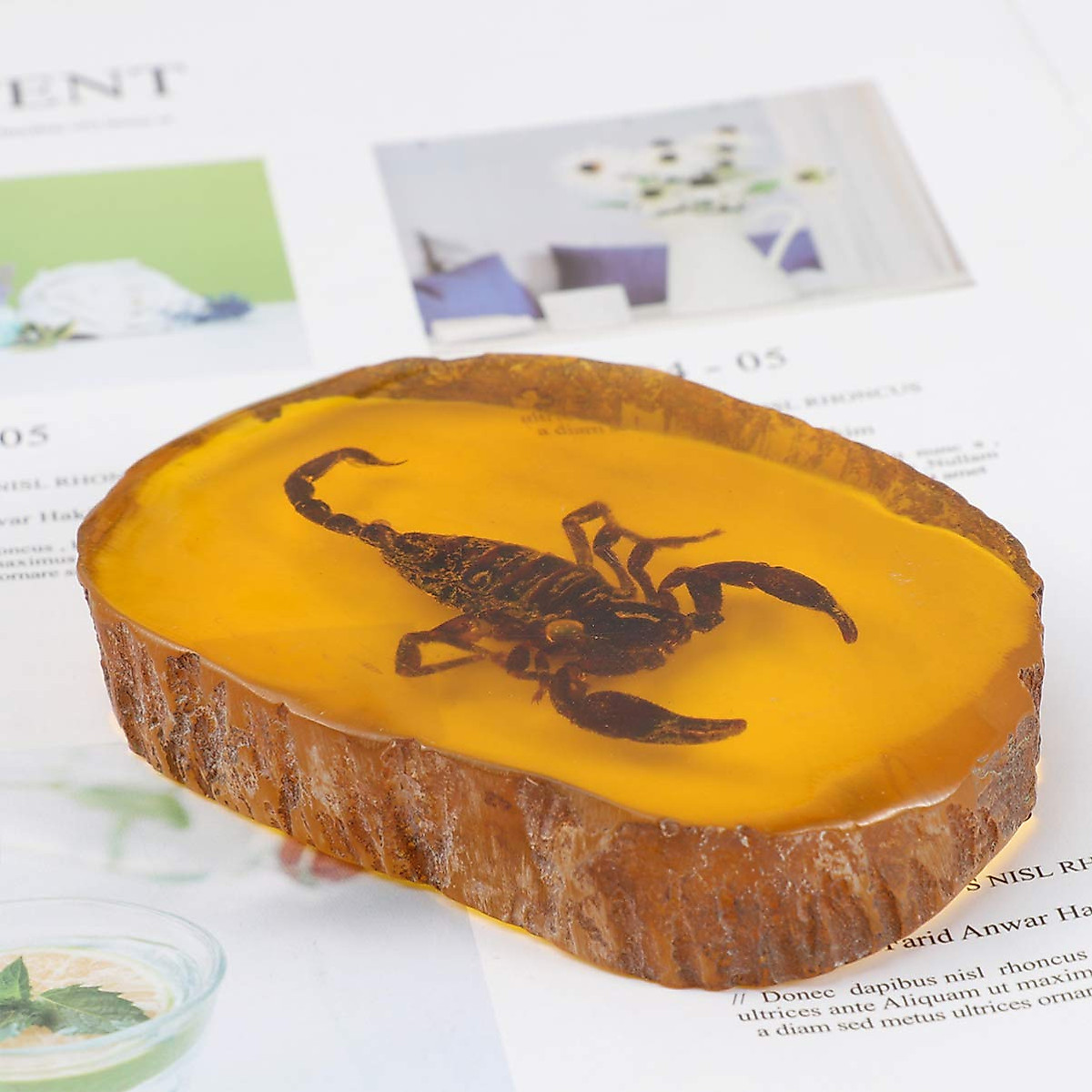 Garneck Amber Fossil Insect,Artificial Amber Insect Specimen Pendant Butterfly Scorpions Insects Amber Stone Ornament for Collection(Scorpion)