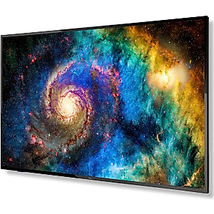 NEC 65" 4K UHD Display with Integrated ATSC/NTSC Tuner