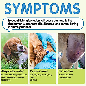 Allergy Relief Dog Chews - Allergy Relief Dog Treats w/Omega 3 + Pumpkin + Enzymes - Itchy Skin Relief for Dogs - Anti Itch Support & Hot Spots - Skin & Coat Health for Dogs