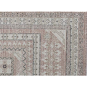 Rugs America Harper HY40A Carnation Transitional Vintage Area Rug, 5'x7'