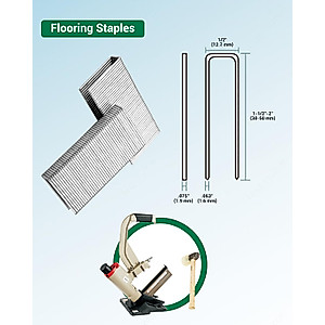 meite 15.5 Gauge Flooring Staples, 2-Inch Length 1/2-Inch Crown Hradwood Floor Staples Collated Galvanized Flooring Staples (5,014 Counts)