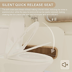 Simple Project 16inch Two-piece Elongated Toilet Single Flush 1.28gpf Toilet With Comfortable Soft Close Seat, Toilets For Bathrooms Comfort Height Elongated - White