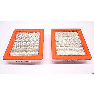Generac 2 Pack Genuine 073111S Air Filter Fits 073111GS OEM