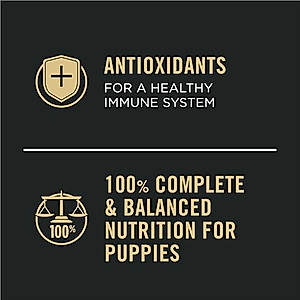 Purina Pro Plan Sport High Protein Puppy Food Beef & Rice Wet Formula - (Pack of 12) 13 oz. Cans