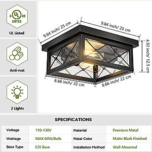 Asnxcju Farmhouse Light Fixtures Ceiling Mount, 2-Light Black Flush Mount Ceiling Light with Clear Glass Shade, Metal Cage Square Close to Ceiling Lamp for Bathroom Kitchen Porch (Bulbs Not Included)