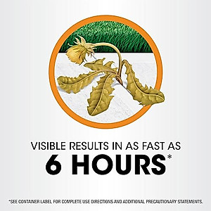 Roundup Poison Ivy Plus Tough Brush Killer₂ Concentrate, Visible Results in Hours, 32 fl. oz.