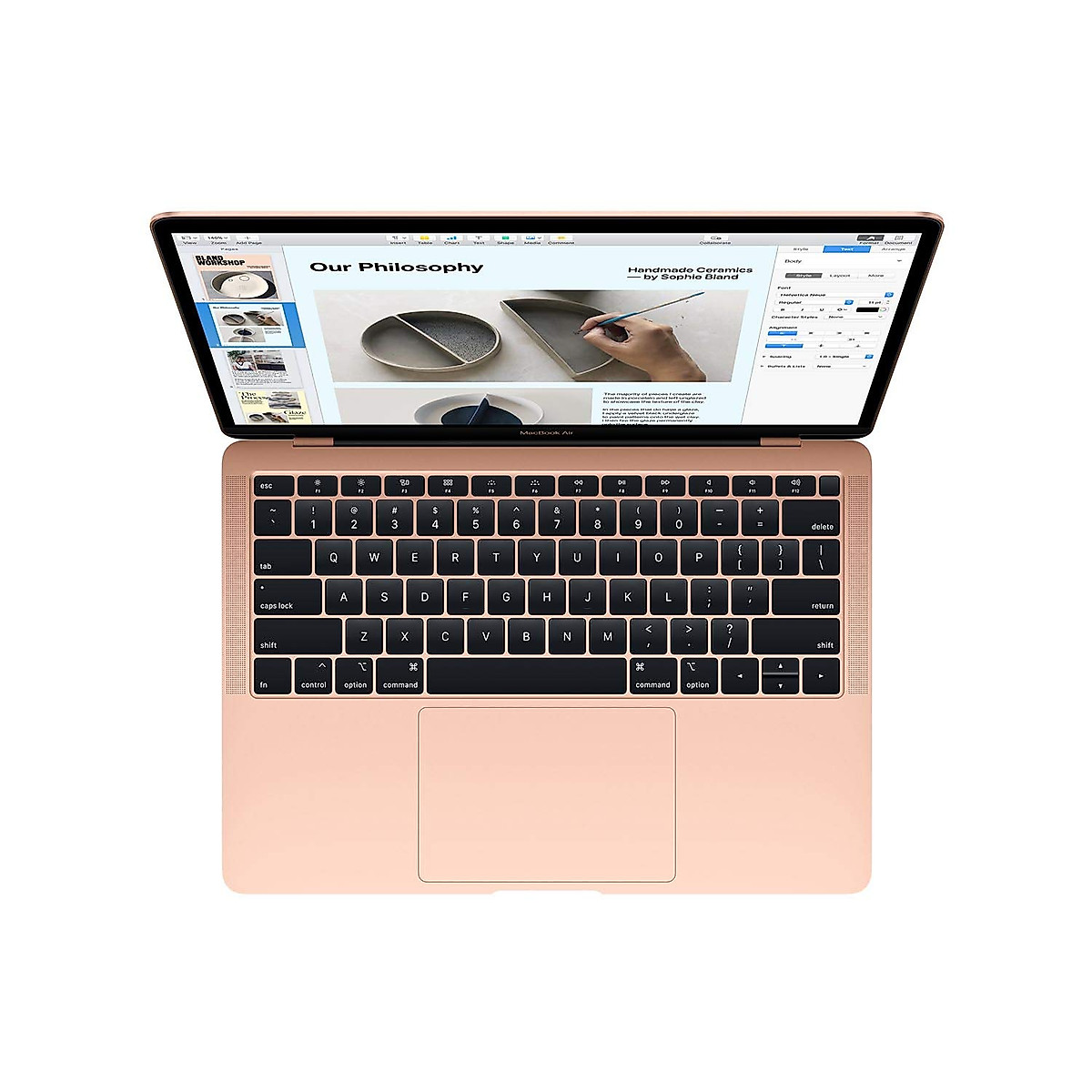 2018 Apple MacBook Air with 1.6GHz Intel Core i5 (13 inch, 16GB RAM, 512GB SSD) Gold (Renewed)