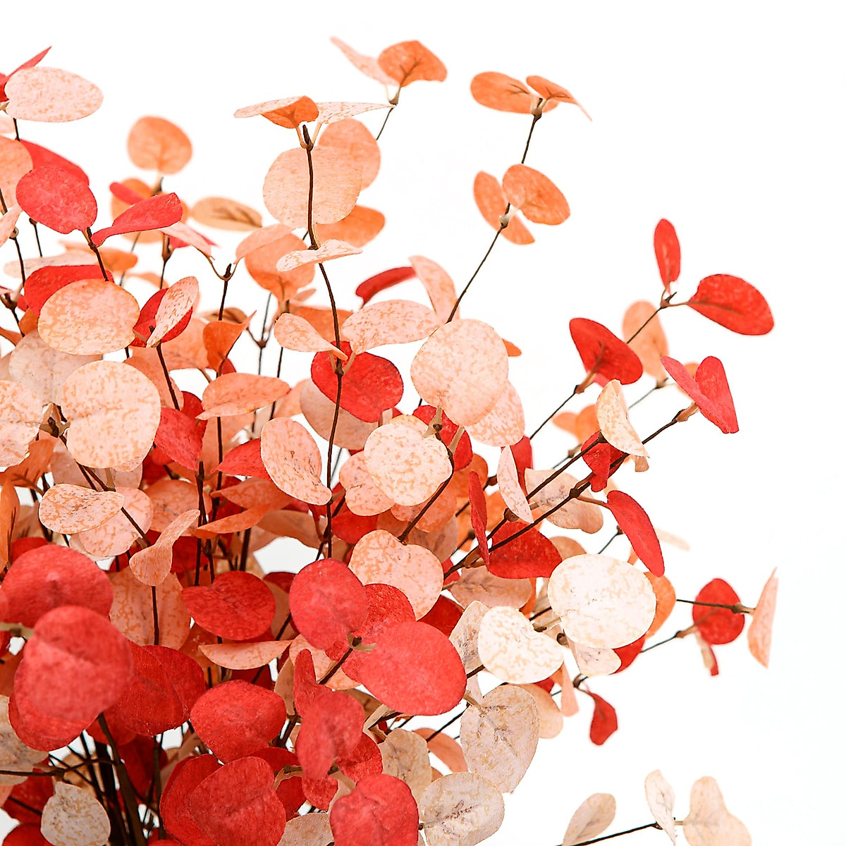 YIGHAI 6PC Fall Fake Eucalyptus Stems 24" Faux Silk Silver Dollar Leaves Branches Autumn Decor Artificial Plants Stems for Festival Thanksgiving Home Office Table Vase Decor