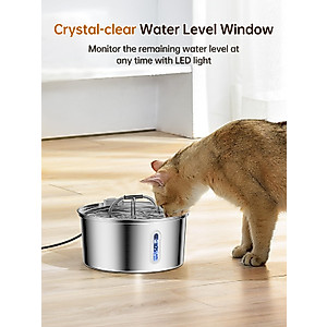 Cat Water Fountain Stainless Steel, 3.2L/108Oz Pet Water Fountain for Drinking, Automatic Metal Dog Water Dispenser Bowl with Quiet Pump, Dual-Stream, Filtration for Cats, Dogs, Multiple Pets Indoor