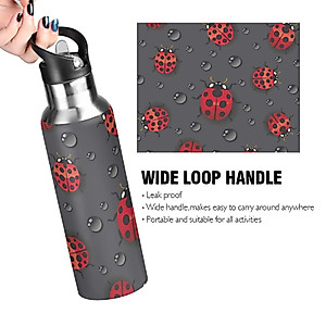 WELLDAY Water Bottle Ladybugs Double Wall Vacuum Insulated Flask Stainless Steel with Straw Lid 20oz