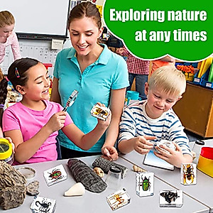 6 Styles Insect in Resin Specimen, Bugs Collection Paperweights Animal Specimen for Kids Bug Preserved in Resin for Scientific Education Office Desk Christmas Display Supplies