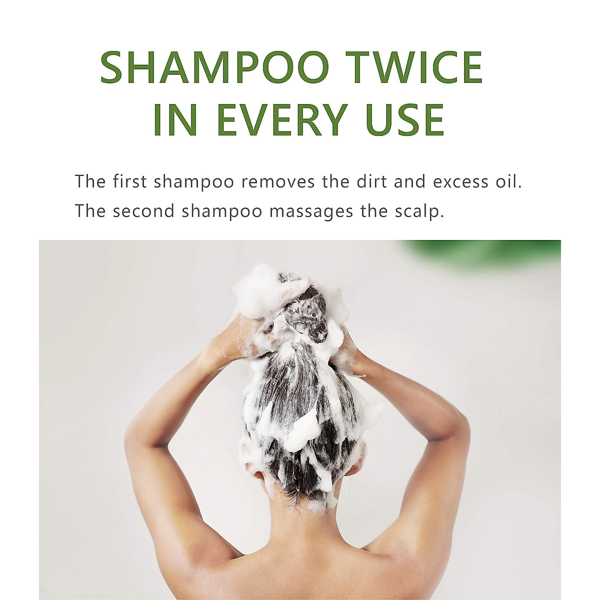 AROMASE 5Å’± Intensive Hair Solution Kit (9.1 Fl Oz Juniper Scalp Purifying Shampoo + 14 Fl. Oz Balancing Essential Shampoo) for Oily Hair & Scalp & Oil Smells