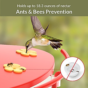 NETVUE Birdfy Hummee - Hummingbird Feeder Perch, Compatible with Birdfy, Attract Hummingbirds, 18.3 oz Capacity, 2 in 1 Bird Feeder, Ideal Gift for Hummingbird Lovers (A Feeder)