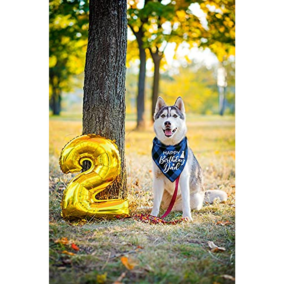 YHTWIN Funny Cute Cotton Blue Plaid Happy Birthday Dad Pet Dog Bandanas, Pet Birthday Party Decorations Supplies Dad Dog Birthday Triangle Bibs, Dog Lover Prop Pet Accessories Gift