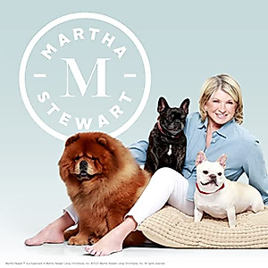 MARTHA STEWART - Pet Hair Removal Mitt | Elegant Dog Hair Remover Mitt for Clothing & Furniture| Reusable Dog Fur Remover for Furniture & Clothes in Gray and Turquoise, Machine Washable (FF18765)