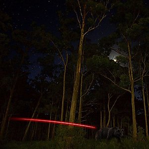 6PCS-New Lighted Nocks for Arrows with .244"/6.2mm Inside Diameter Led Nocks with Switch Button for Archery Hunting (Red)