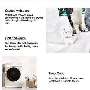 HommomH 40"x50" Blanket Soft Fluffy Flannel Fleece Throw Blue Sky Penguin