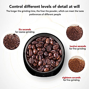 Grain Grinder 50g Stainless Steel Coffee Grinder Electric For Herb Nut Spice 150W Grain Grinder Mill for Home Chinese Herbal With Brush Easy To Clean(American Standard 110V)