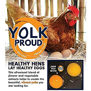 Kalmbach Feeds 17% All Natural Layer Pellet for Egg Laying Chickens, 10 lb Bag