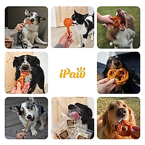 iPaw Turkey Tendon for Dogs, Ingredient Sourced from USA, Hypoallergenic, All Natural Human Grade Puppy Chew, Dog Treats for Signature Series, Rawhide Alternative, 1 Unit/Pack Strip (Large)