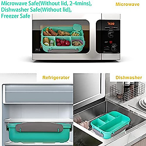 ZPIMY Bento Box Adult Lunch Box, Lunch Box Kids, 1300ML Kids Lunch Box Adult with 4 Compartment, Lunch Box Containers for Adults/Kids/Toddler, Microwave/Dishwasher/Freezer Safe (Green)