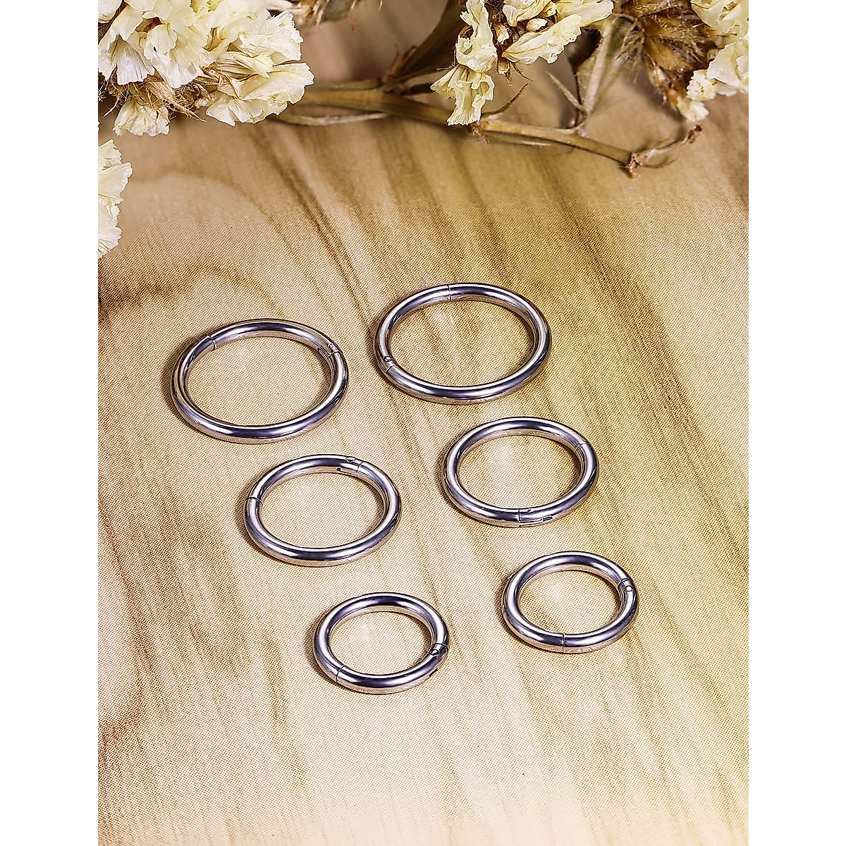 Xnsjeyy 14G Stainless Steel Nose Rings Hoops Hinged Clicker Septum Ring Lip Ring Cartilage Tragus Earrings Body Piercing Jewelry for Women Silver