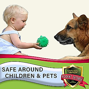 Natural Armor Peppermint Repellent for Mice/Mouse, Rats & Rodents. Natural Spray for Indoor & Outdoor Use Rodent Shield - 128 Fl Oz Gallon Refill, Case of 4