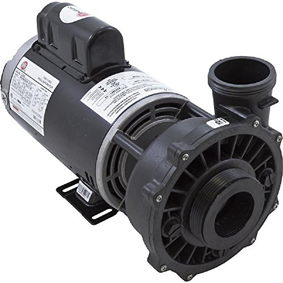 4 HP 230V 2-Speed Waterway Spa Pump Side Discharge 2 1/2"x2" Executive 56 3721621-13