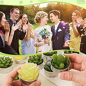 AIXIANG 12Pcs Cactus Candles Succulent Candles, Wedding Party Favors for Guests, Bridal Shower Candles Favors, Housewarming Favor, Baby Succulents Favors Baby Shower, Christmas Gifts