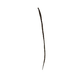 Arches & Halos Angled Bristle Tip Waterproof Brow Pen - Water Based And Smudge Proof - Fills In Sparse Eyebrows And Gives Fuller Effect - Covers Scars Or Overplucked Brows - Dark Brown - 0.051 Oz